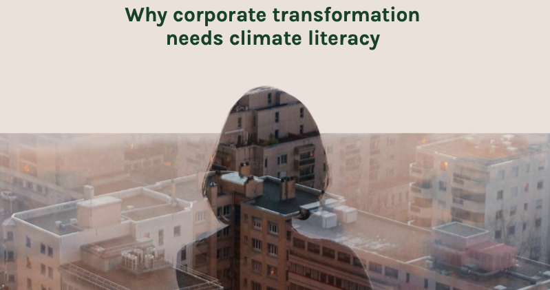 Every job is a climate job: Why corporate transformation needs climate ...