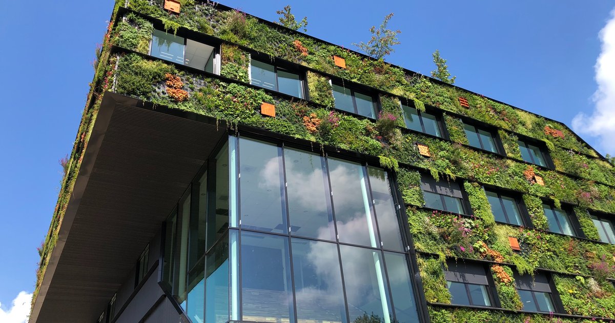 Greening Construction: A complex challenge for jobs, skills, and ...