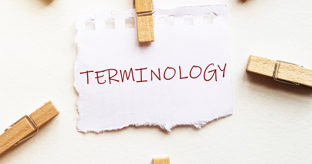 'What’s in a word’: Unpacking the terminology we use in education ...